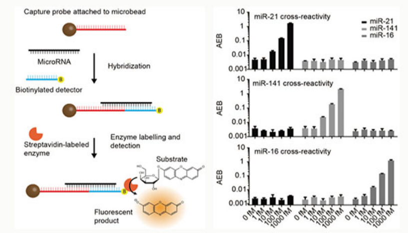 参考文献---Simoa单分子免疫阵列应用潜力_江苏为真生物医药技术股份有限公司